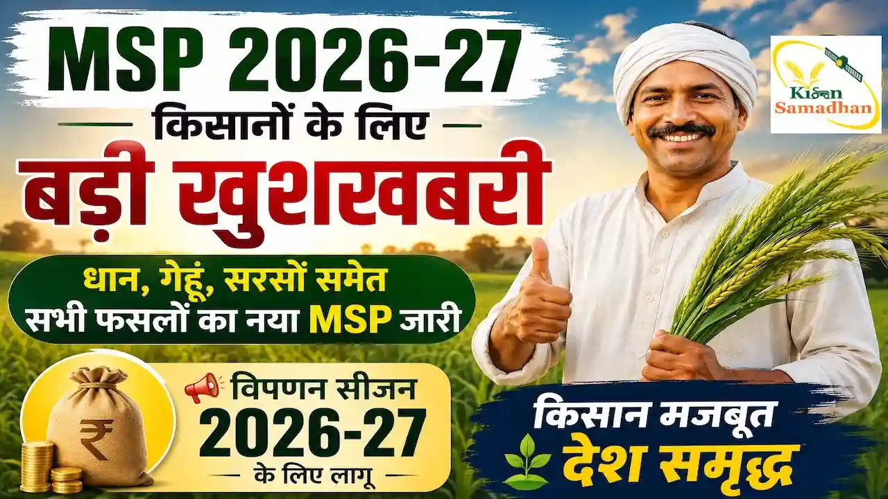 MSP 2026-27: धान, गेहूं, चना, सरसों, सोयाबीन समेत सभी फसलों का MSP जारी ...